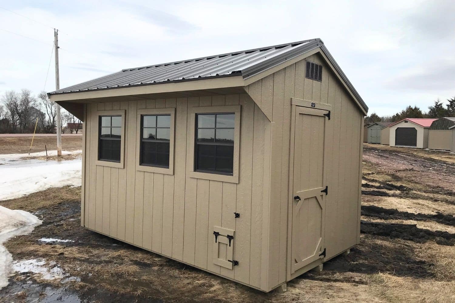 Best Chicken Coop Sizes for Any Flock Size And Backyard